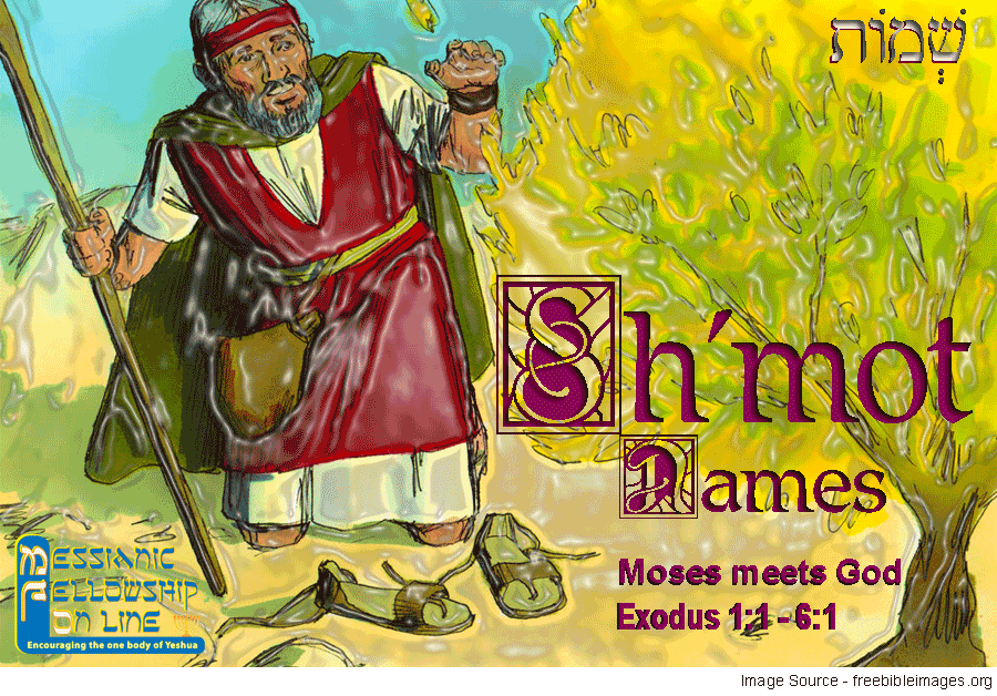 Messianic Bible Study Online