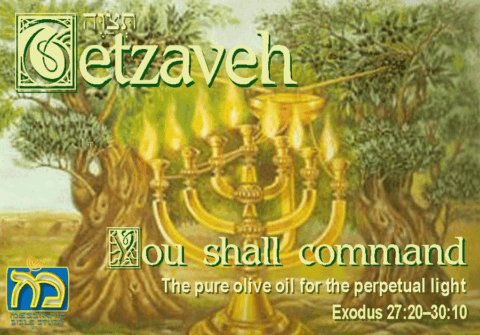Messianic Program Tetzaveh 2022 | Messianic Bible Study