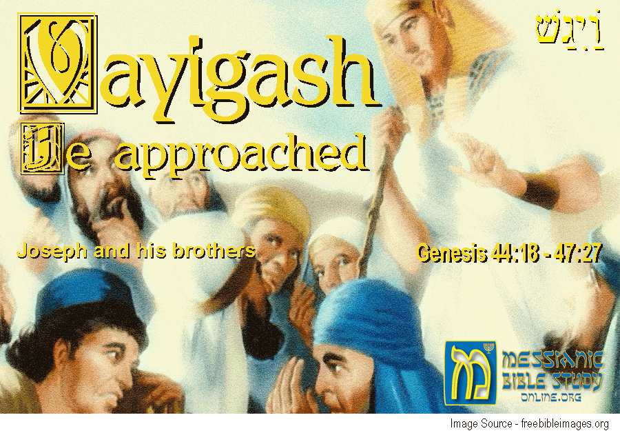 11-Vayigash–©-MEA-2019-2024-Natan-(Intro-Image).with-Image-Sourcepng ...